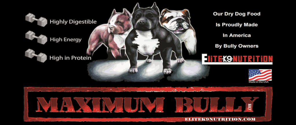Buy Online - Made by Bully Owners for all Bully Breeds